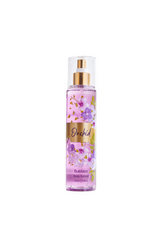 BODY SPLASHES – Bubblzzeg
